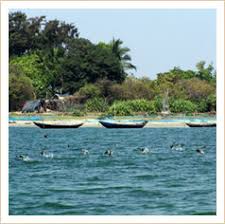 Chilka Lake : A beautiful lagoon | Sankalp India Foundation